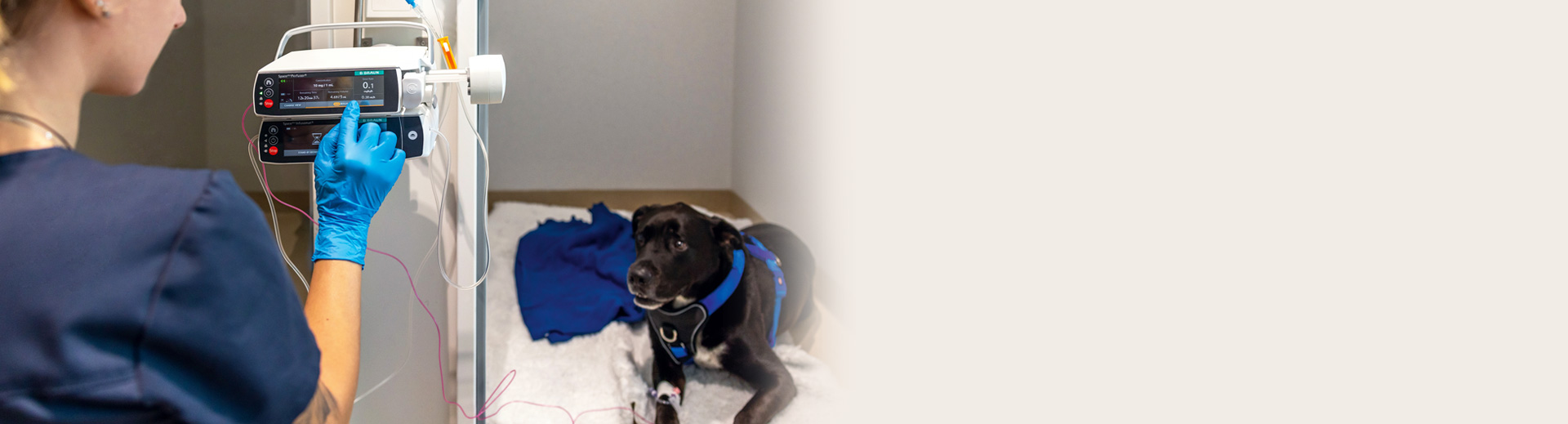 Preventie intraveneuze kathetergerelateerde infecties